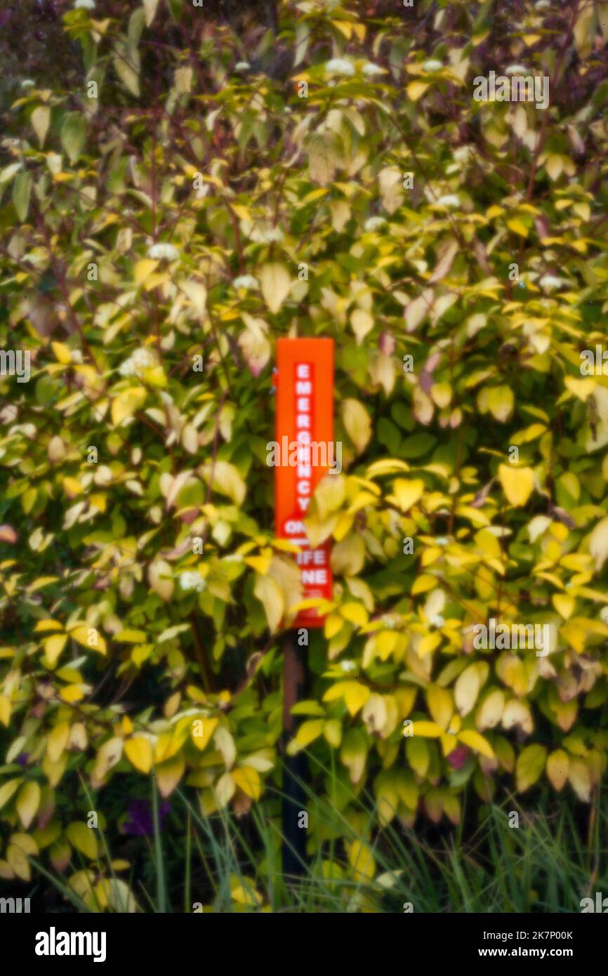 Age-defying, digital age, premium quality, eye-catching, stand-out ...