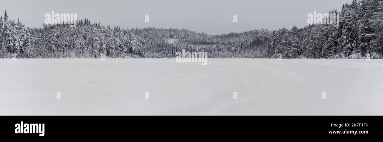 Panoramic background for banner with winter landscape. Frozen lake ...
