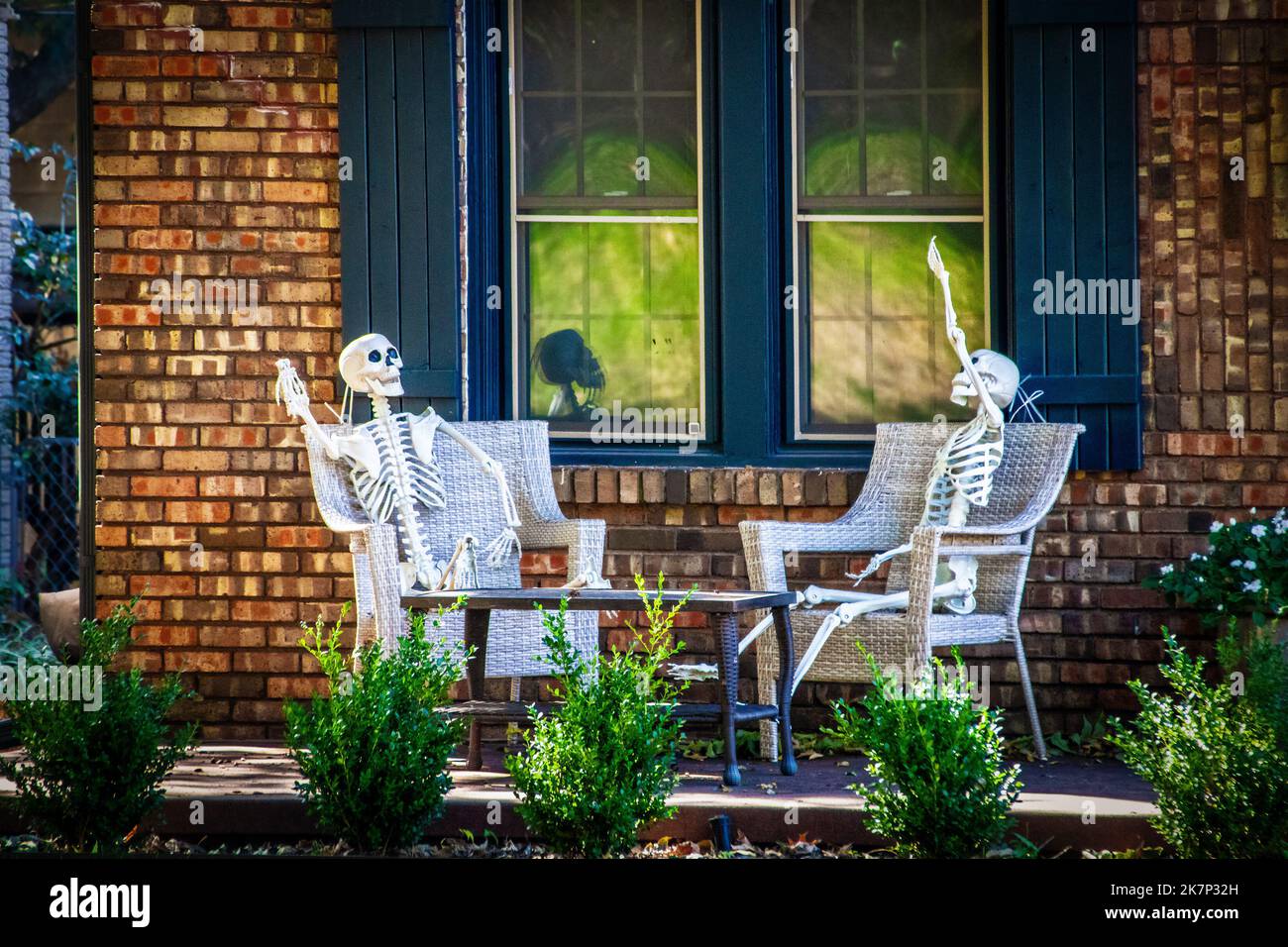 Two Halloween skeletons have conversation on front porch of residence ...
