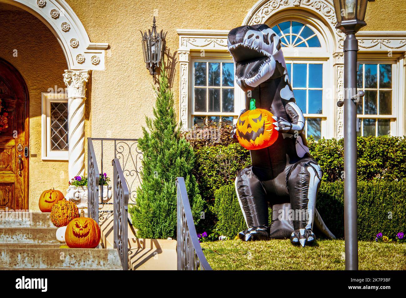 Giant Halloween inflatable skeleton dinosaur roaring and holding ...