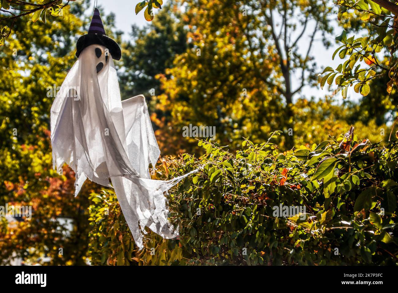 Little gauze ghost with scared expression hangs from limb surrounded by ...