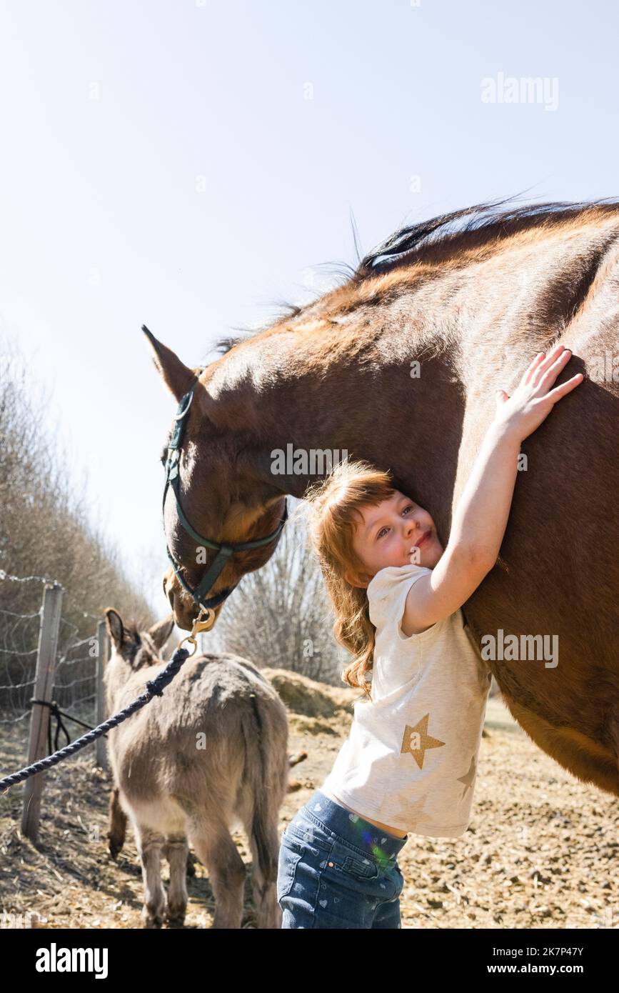 Person hugging with horse hi-res stock photography and images - Alamy