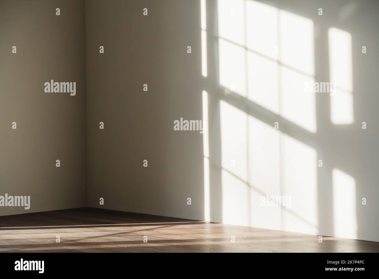 Branch shadow overlay mock hi-res stock photography and images - Alamy