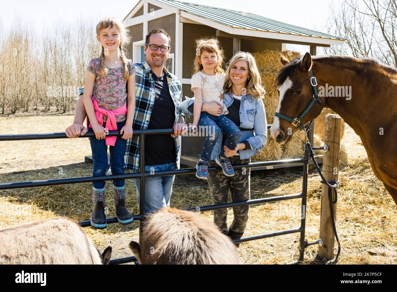 Teamwork animals hi-res stock photography and images - Alamy