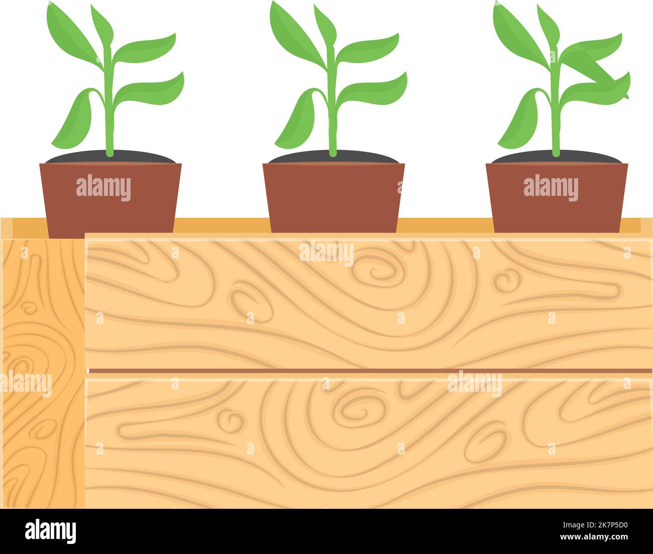 Seedling in wooden crate. Growing green plants cartoon icon Stock ...