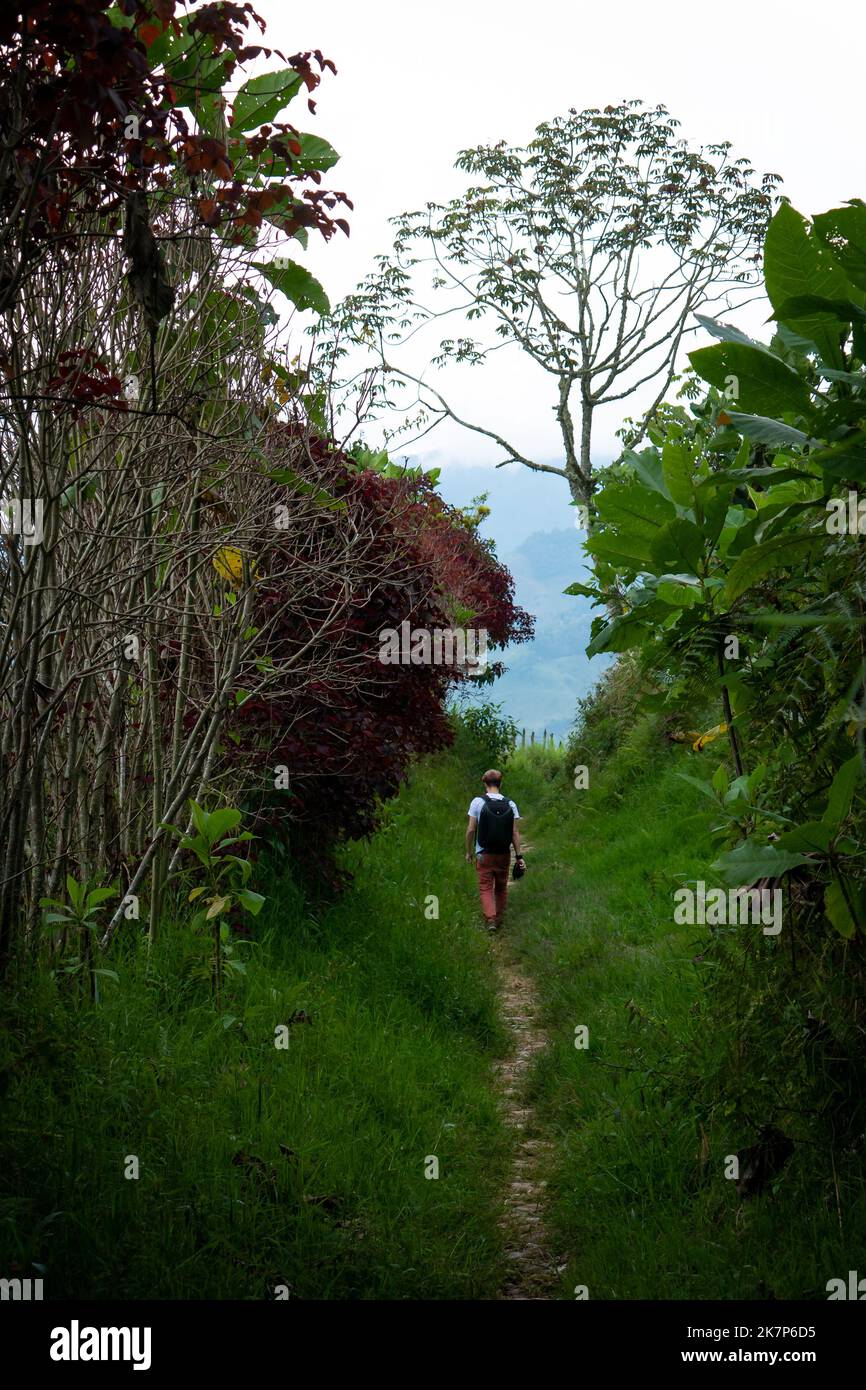 White Man Walking on a Narrow Dirt Road Surrounded by Weeds, Trees and ...