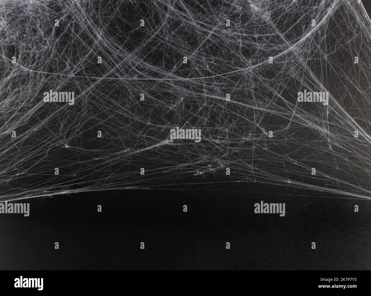 Spider web on a black background. Background for holiday card, flyer or ...