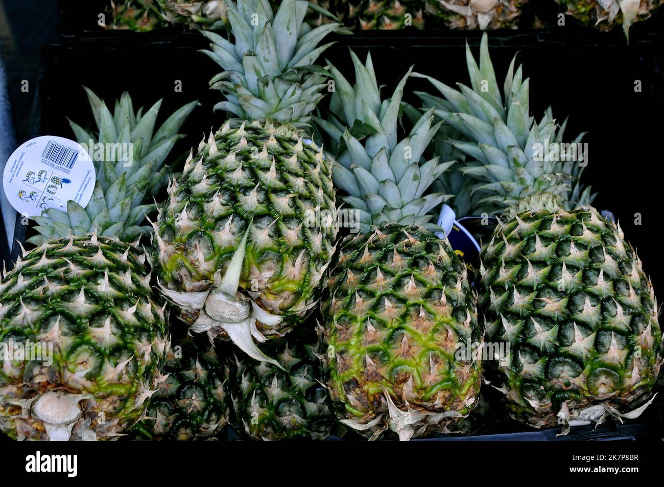 Kastrup/Copenahgen /Denmark/18 OIctober 2022/ Pineappls fruits display ...