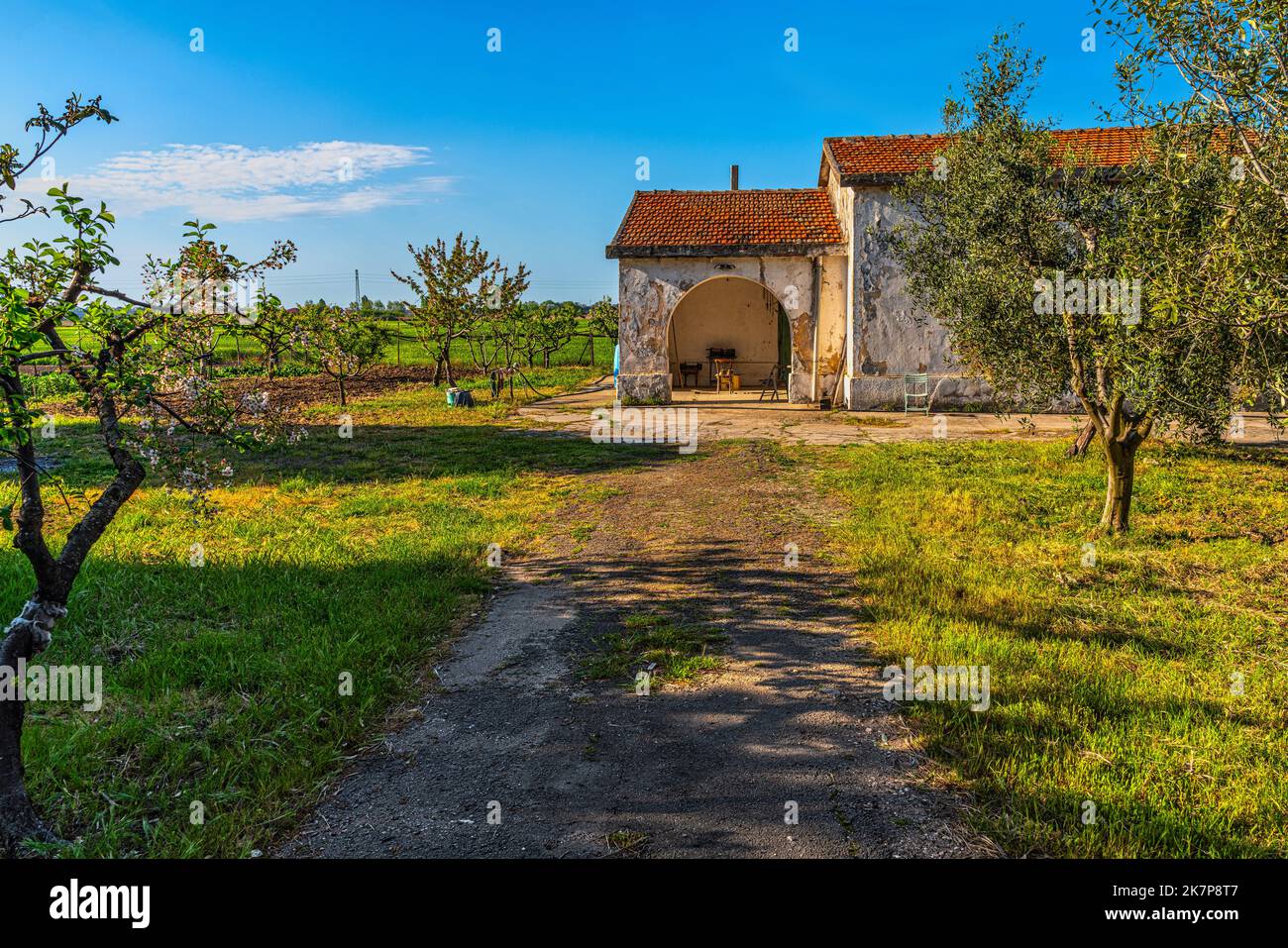 Typical rural house with an arched portico in the Apulian countryside ...