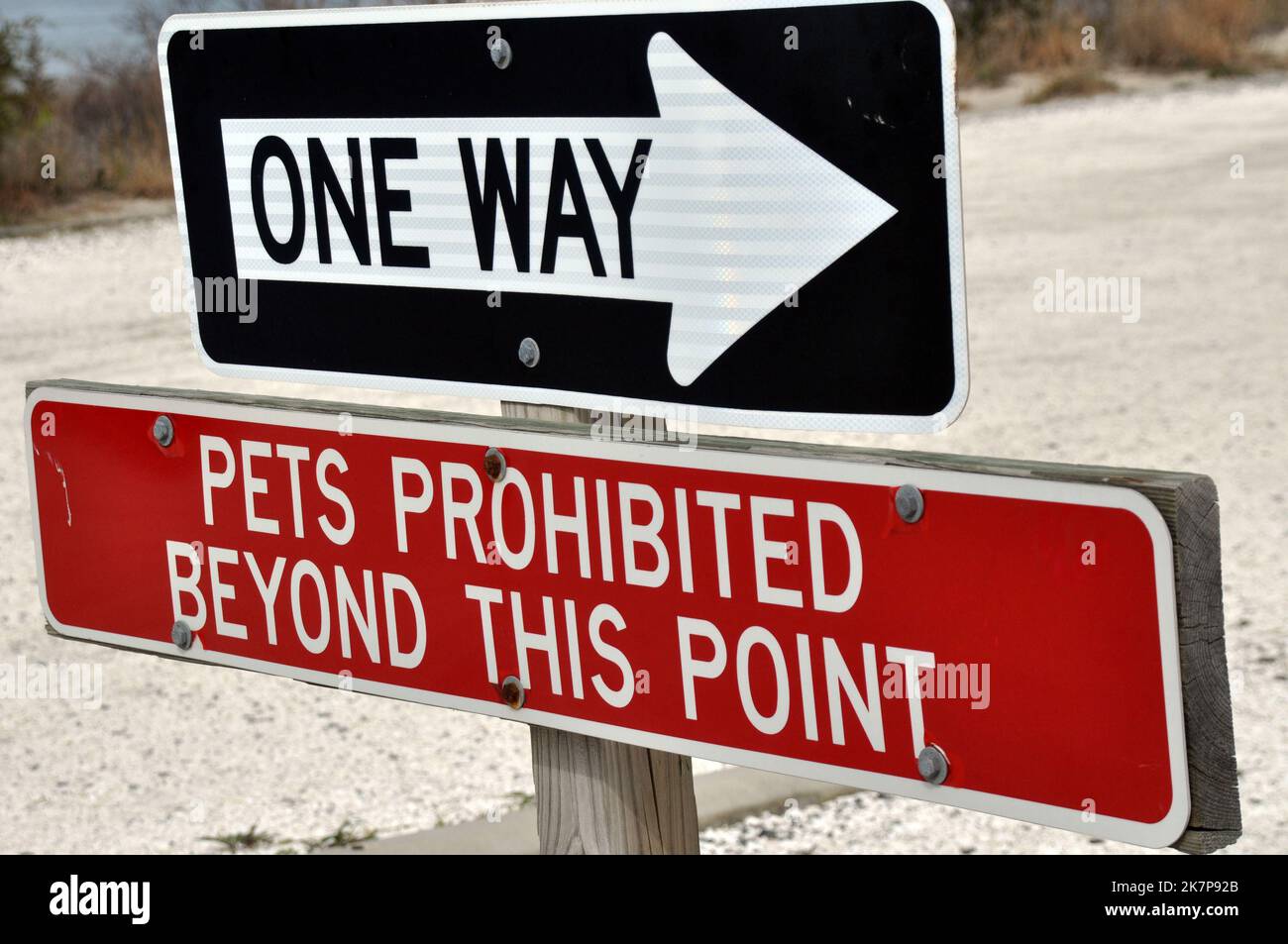 One Way Sign and Pets Prohibited Beyond This Point Sign Stock Photo - Alamy
