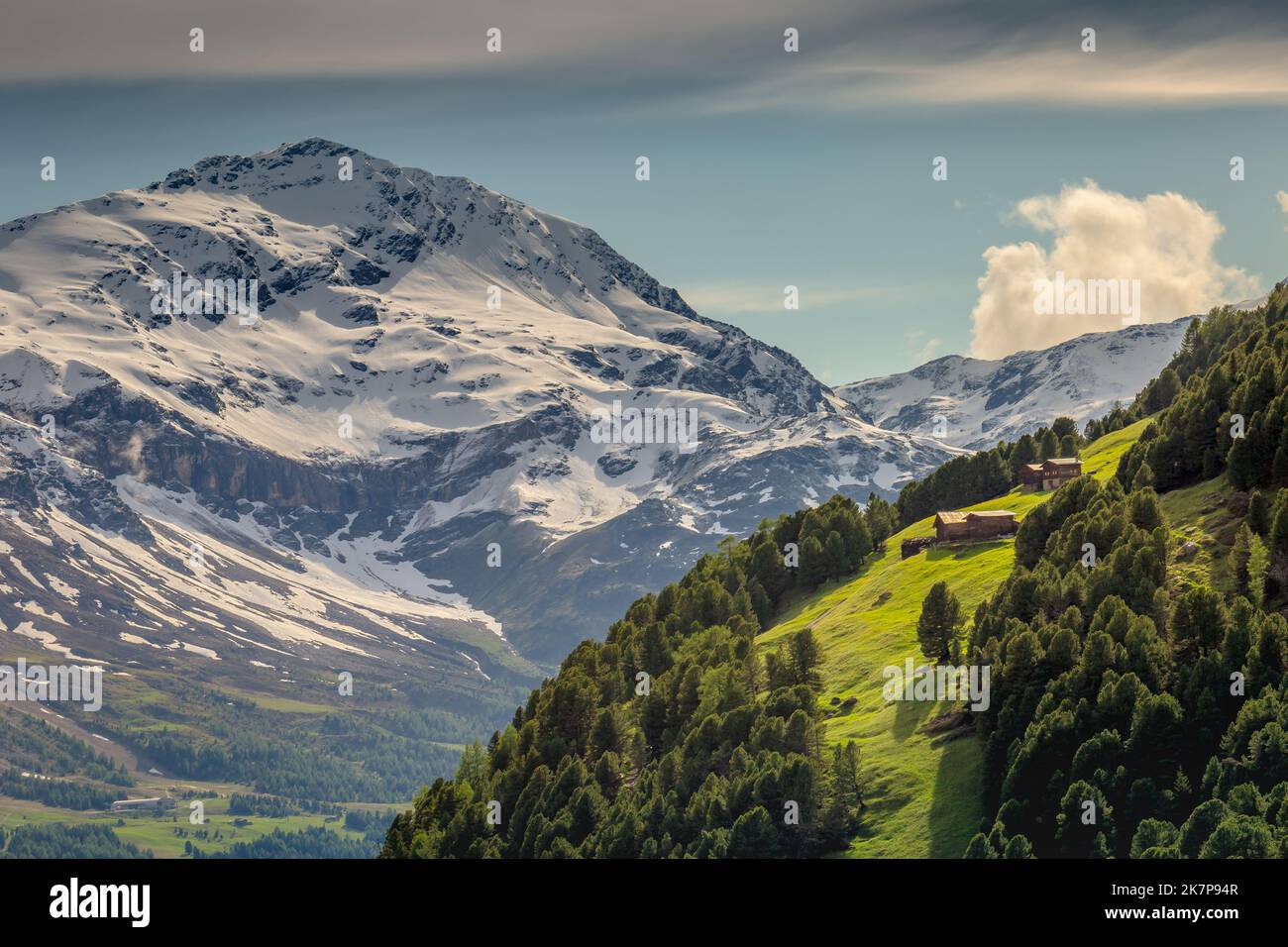 Snowcapped mountains in Stelvio national park with farms, Valfurva ...