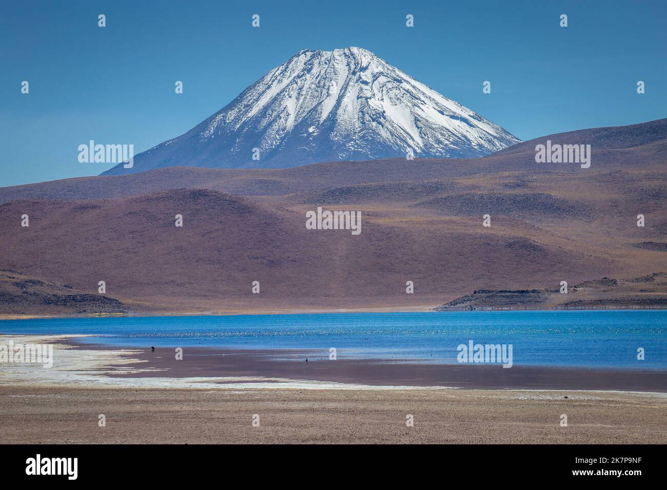 Laguna Miscanti, salt lake in Atacama desert, volcanic landscape, Chile ...