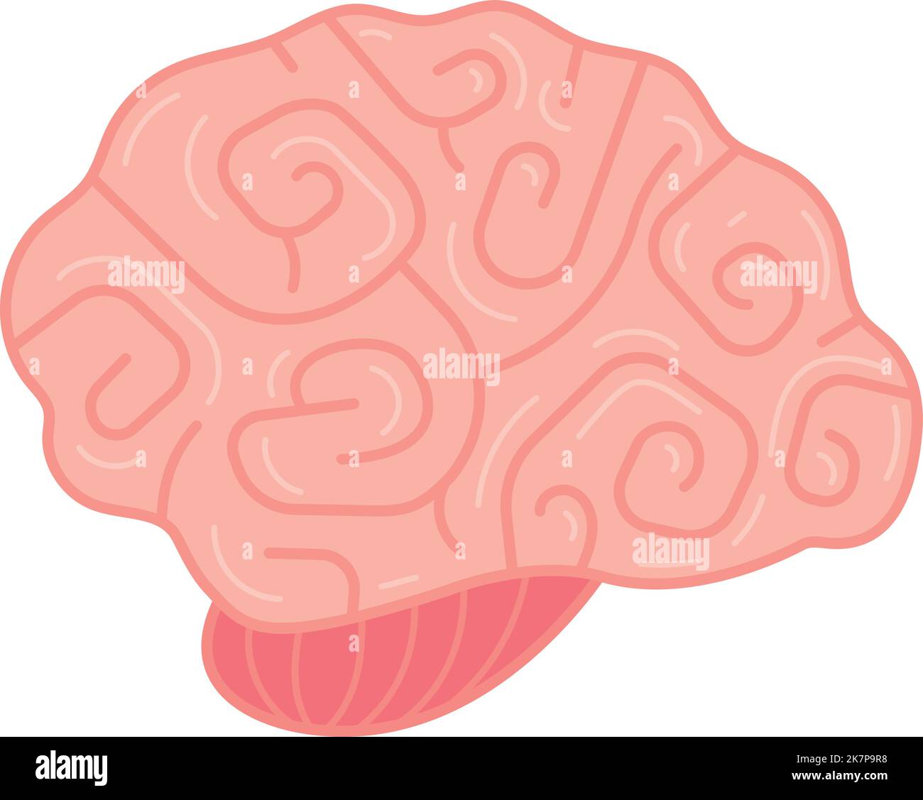 Human brain icon. Psychology symbol. Anatomy sign isolated on white ...