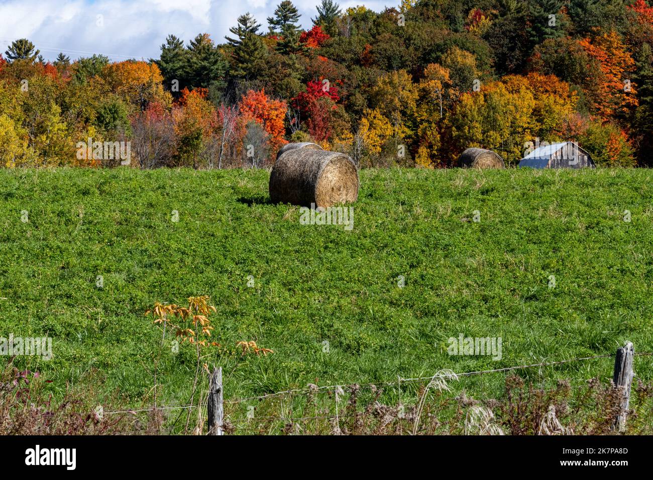 Hay bales mountains in background hi-res stock photography and images ...