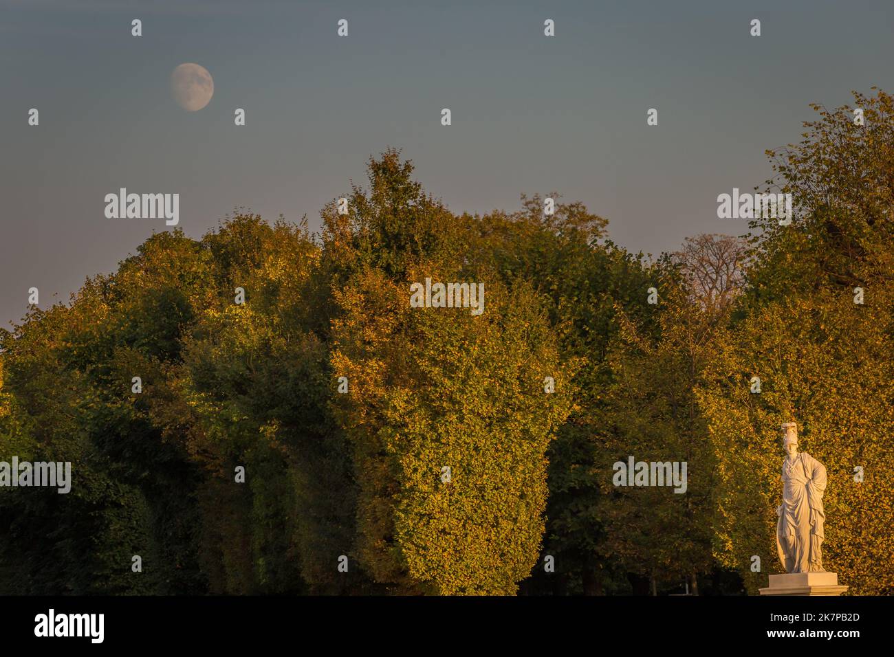 Golden autumn sunset with full moon in Vienna public park , Austria ...