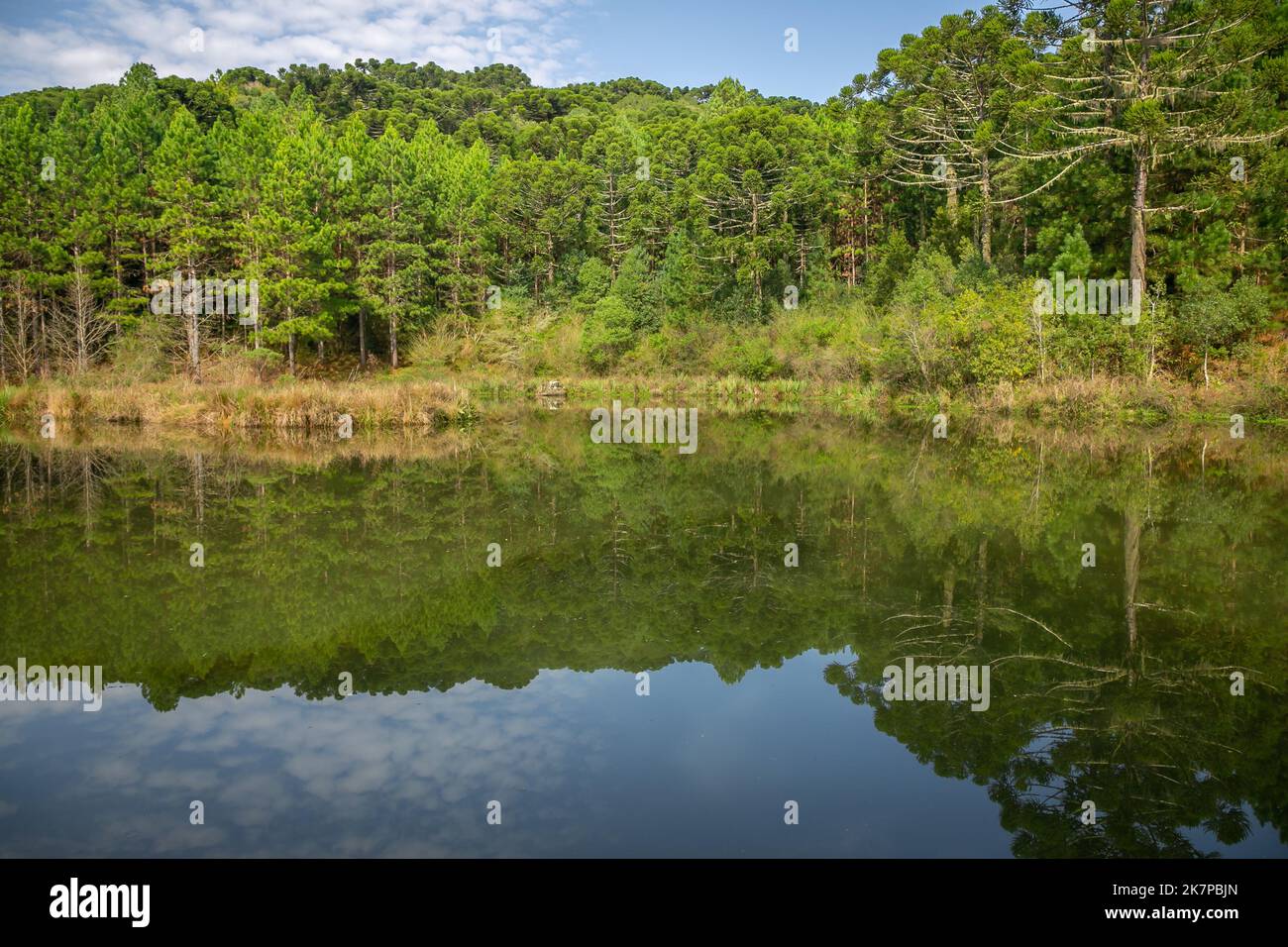 Southern Brazil countryside and lake reflection landscape at peaceful ...