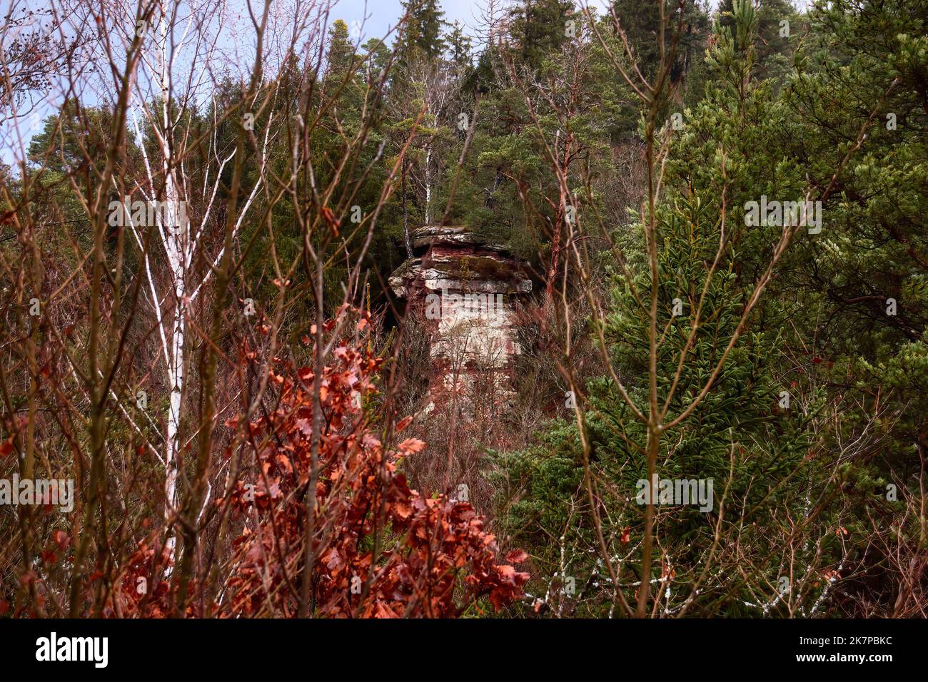 Rock formation surrounded by trees on a hill in the Palatinate forest ...