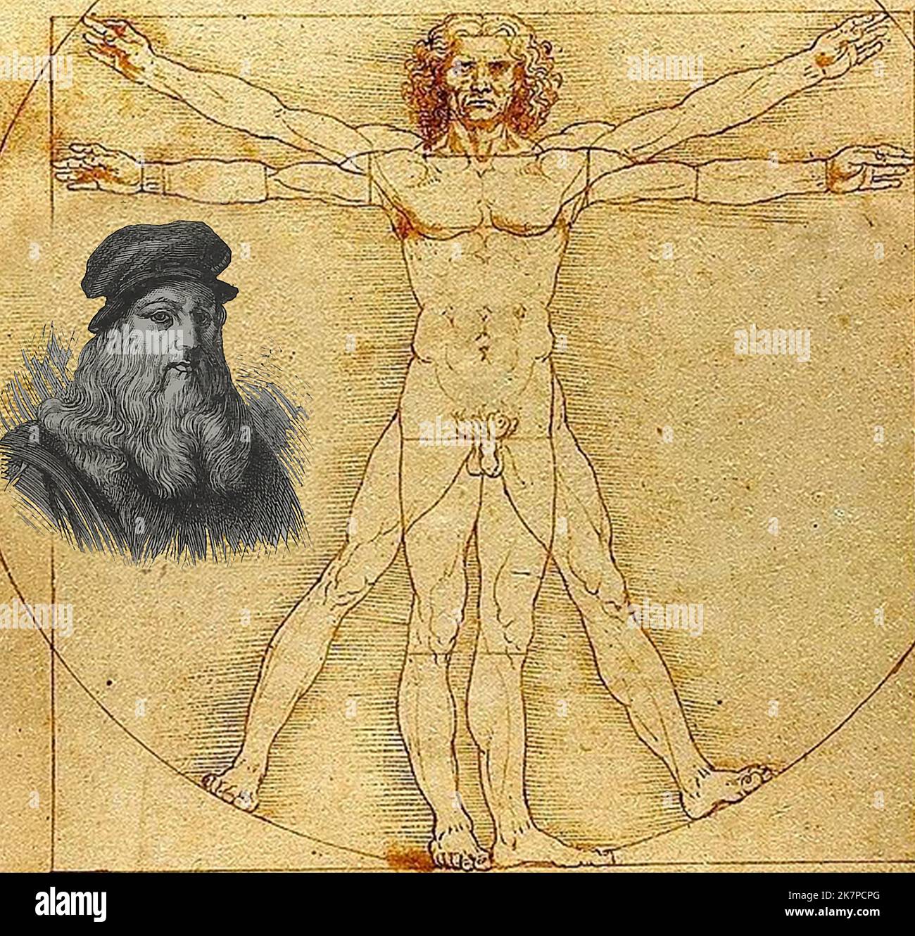 The iconic Vitruvian Man ( L'uomo vitruviano ) with a portrait of the ...