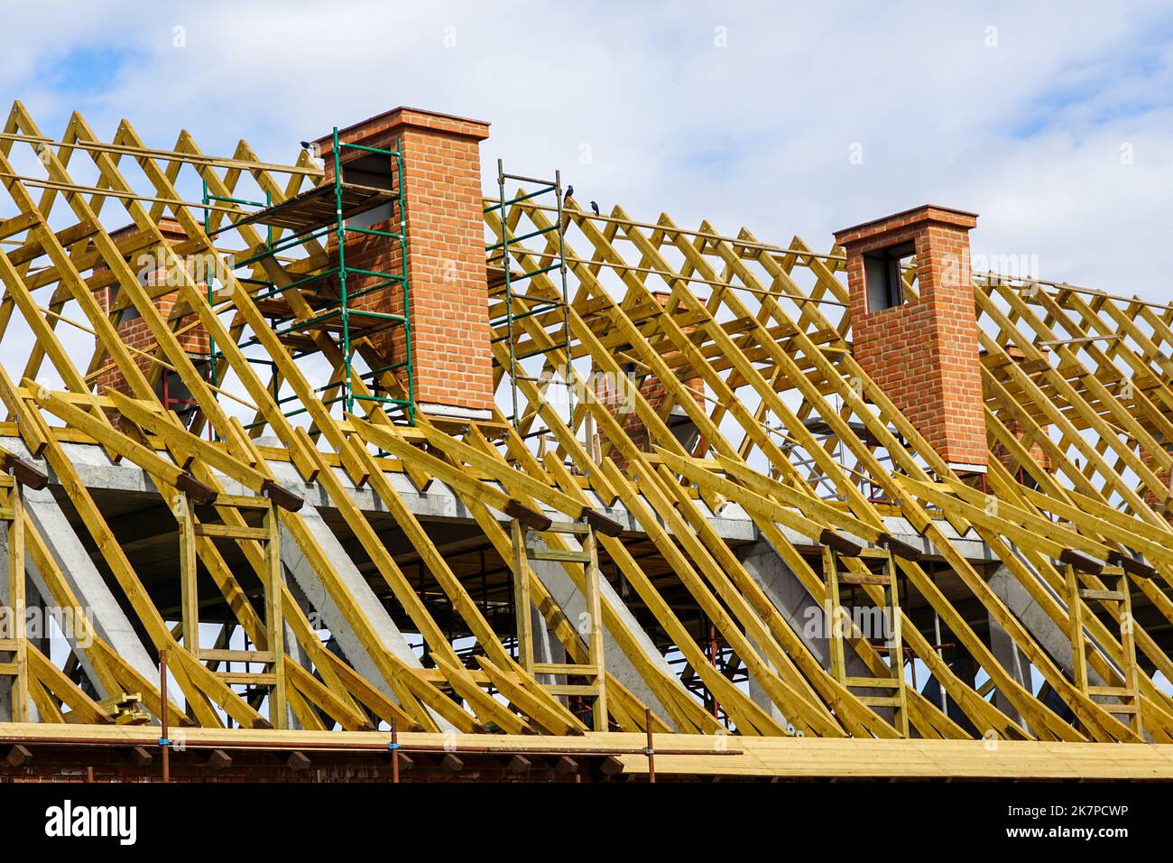 Replacement and strengthening of wooden roof structures of a historical ...