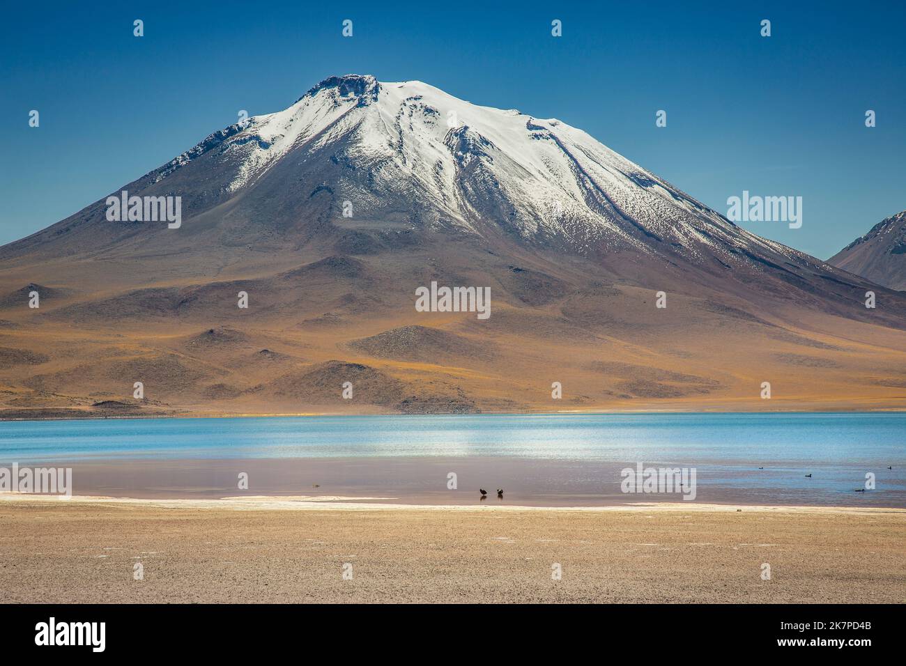 Laguna Miscanti, salt lake in Atacama desert, volcanic landscape, Chile ...