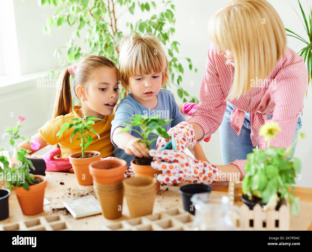Brother and sister and mother hi-res stock photography and images - Alamy