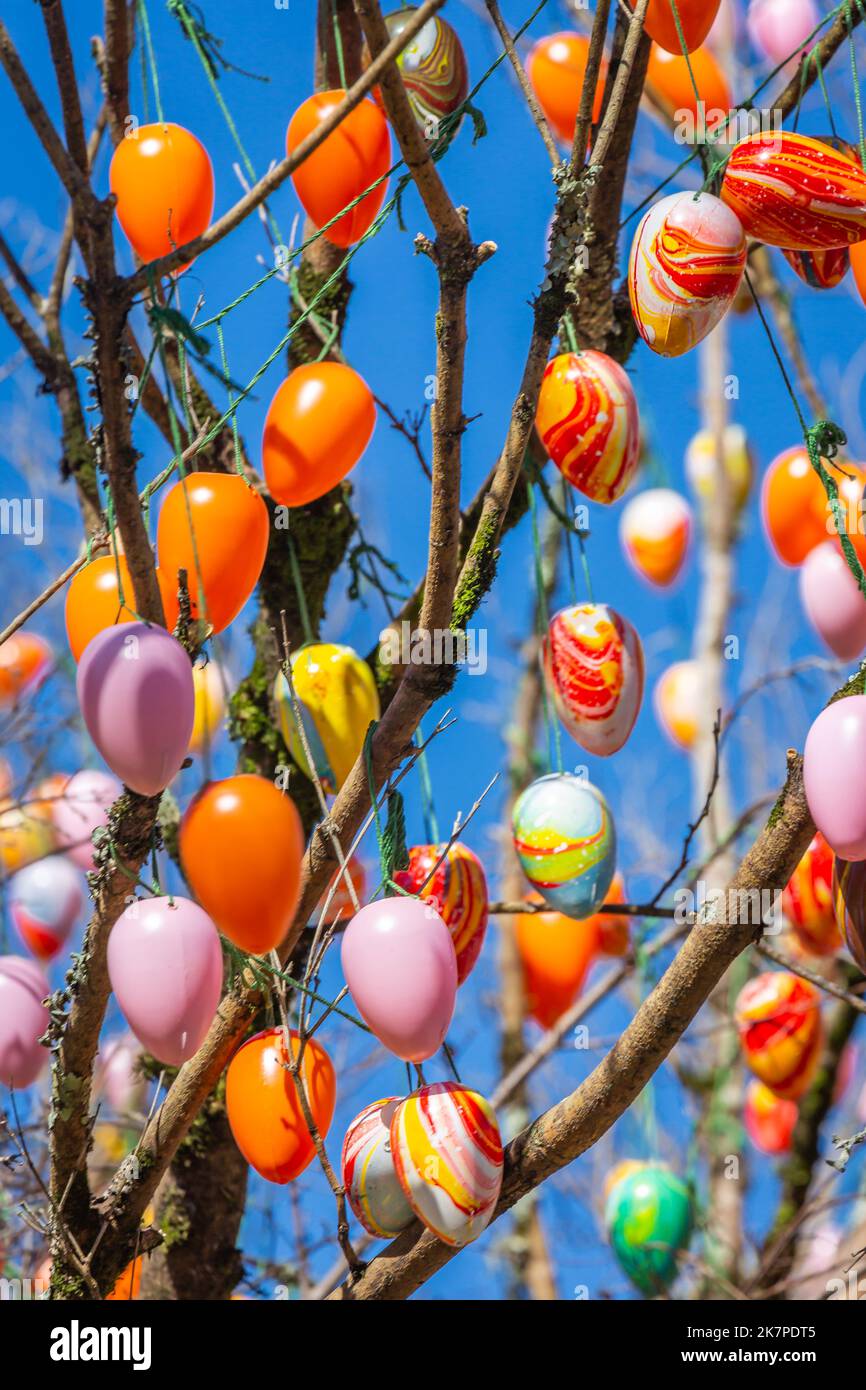 Colorful and handmade easter eggs hanging on apple tree, Gramado ...
