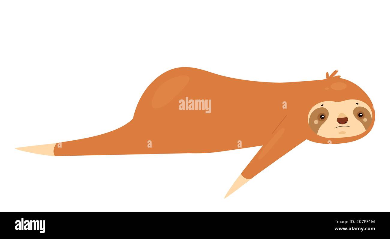 Laying down sloth animal. Lazy jungle bear, tropical arboreal mammal ...