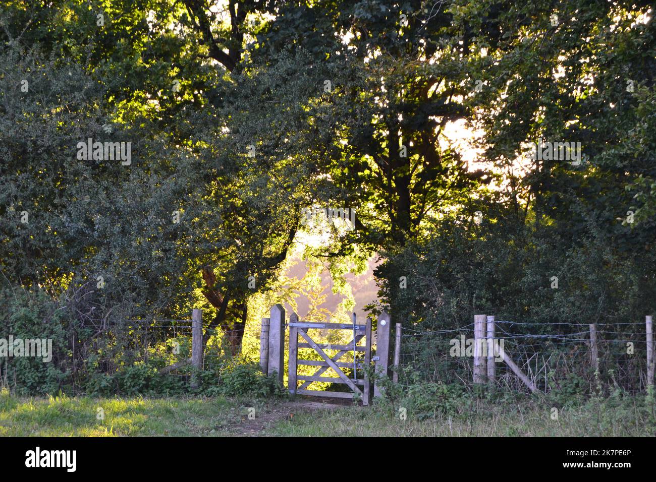 Mariners hill loop walk hi-res stock photography and images - Alamy