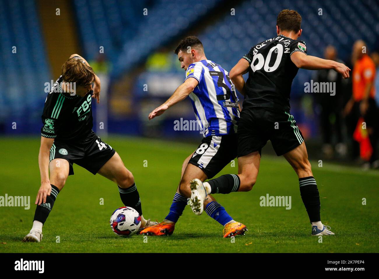 Shane flynn hi-res stock photography and images - Alamy