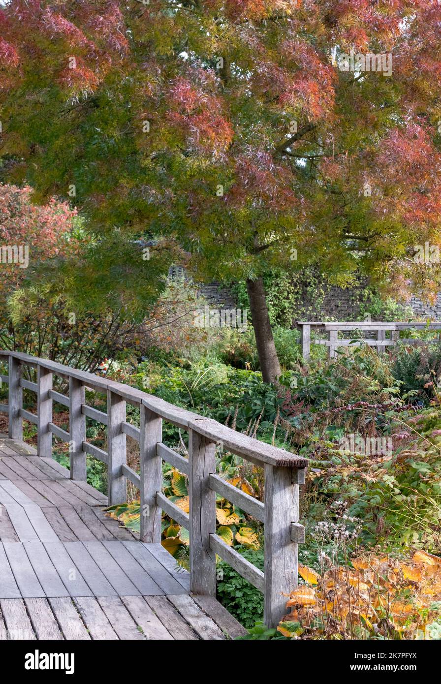 Robinson garden rhs hyde hall essex hi-res stock photography and images ...