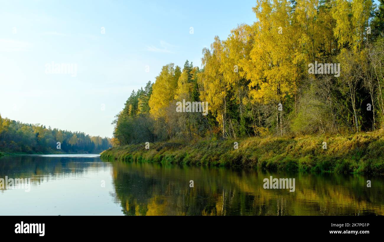 Golden autumn scene with river Gauja and surrounding colourful forest ...