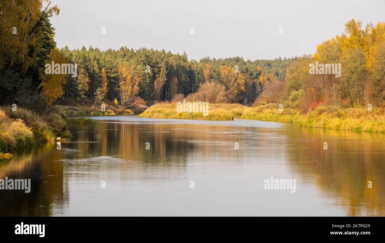 Golden autumn scene with river Gauja and surrounding colourful forest ...