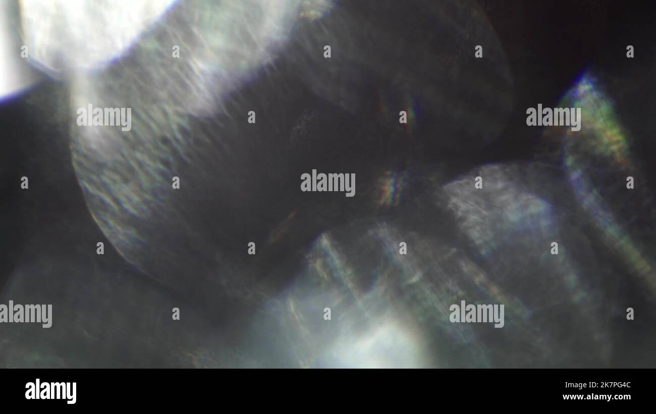 Premium holographic background. Beautiful light transitions. Light ...