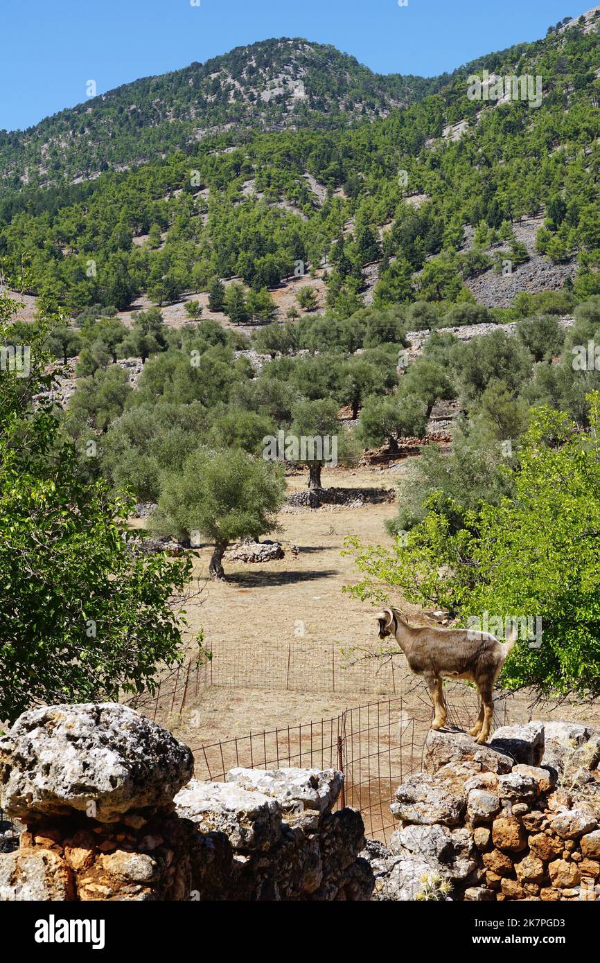 Lefka Ori (White Mountains), Aradena village, Crete, Greece, Europe ...