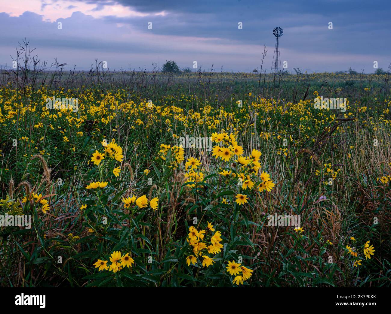 A windmill and covered wagon are on the horizon by a recreated ...
