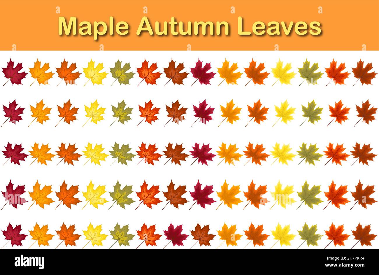 Autumn maple leaf set. Autumn Leaves fall. Vector illustration Stock Vector Image & Art - Alamy