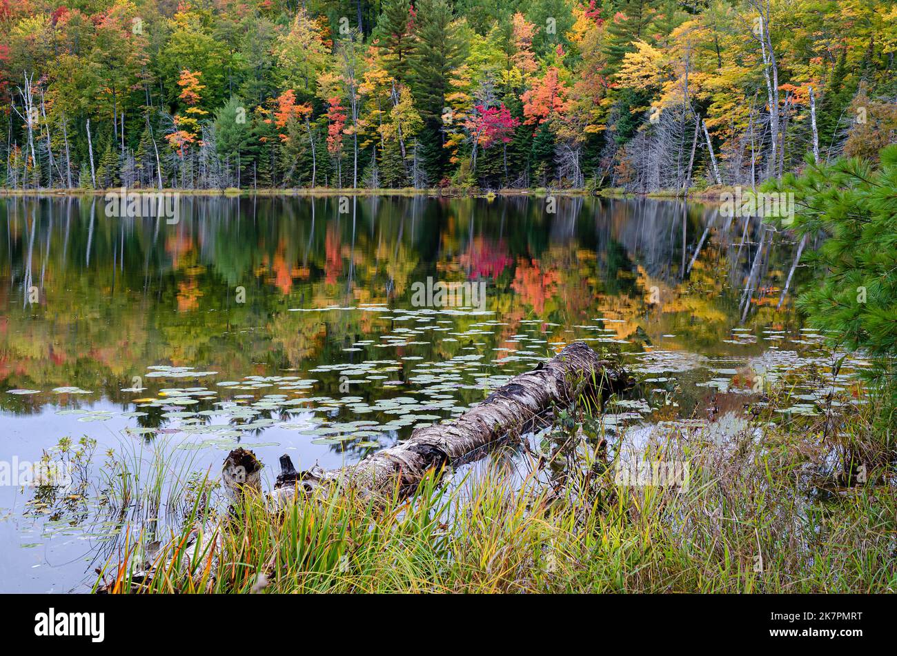 Autumn color lines the shoreline of Red Jack Lake in the Hiawatha ...