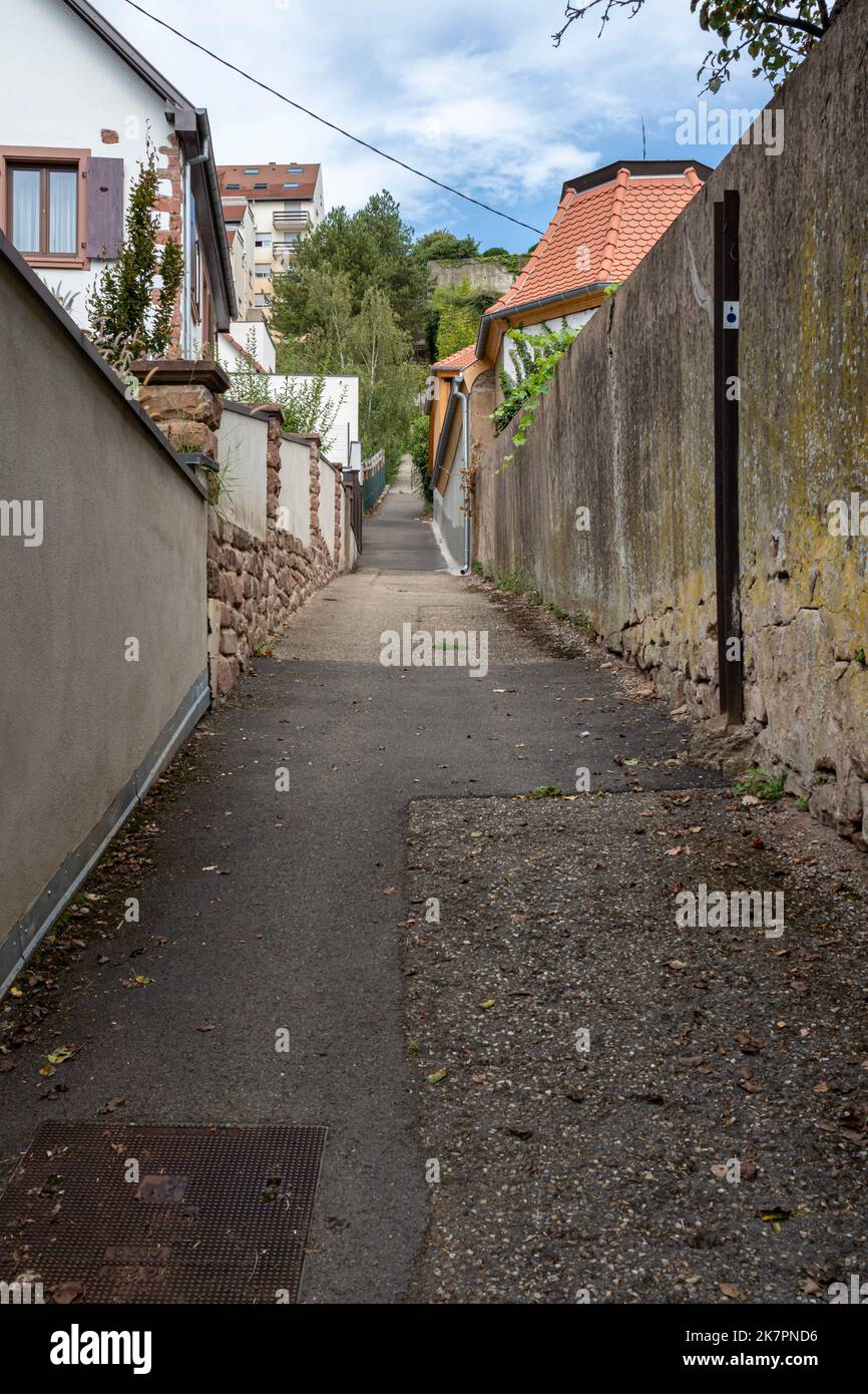 View of an uphill street with steps to join terraced vines and the ...