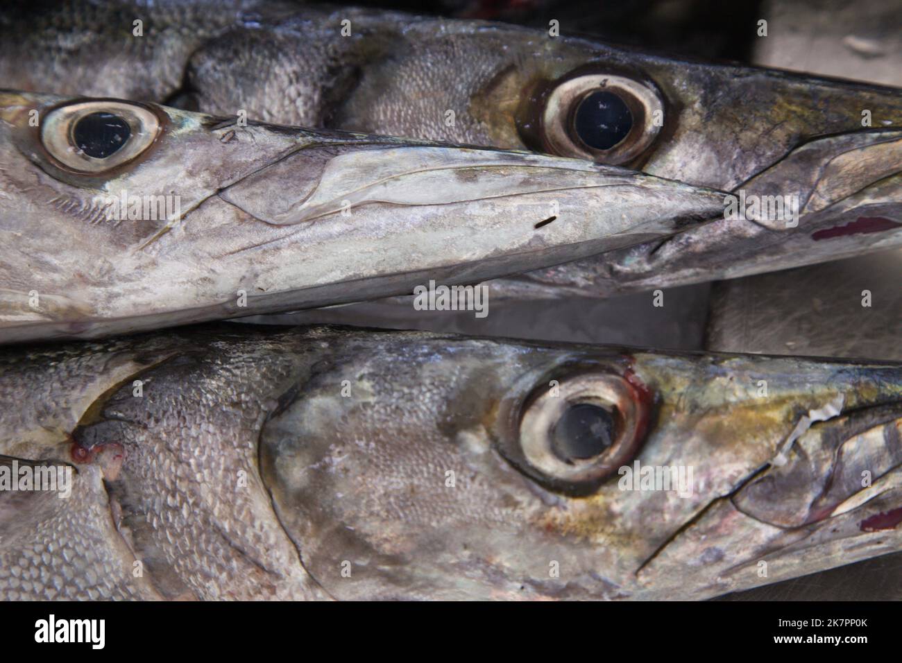 Madeira fish market hi-res stock photography and images - Alamy