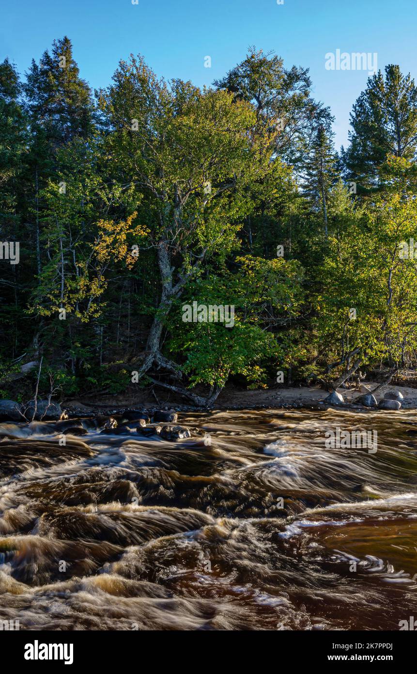 The Hurricane River pours out of the forest and rushes into Lake ...