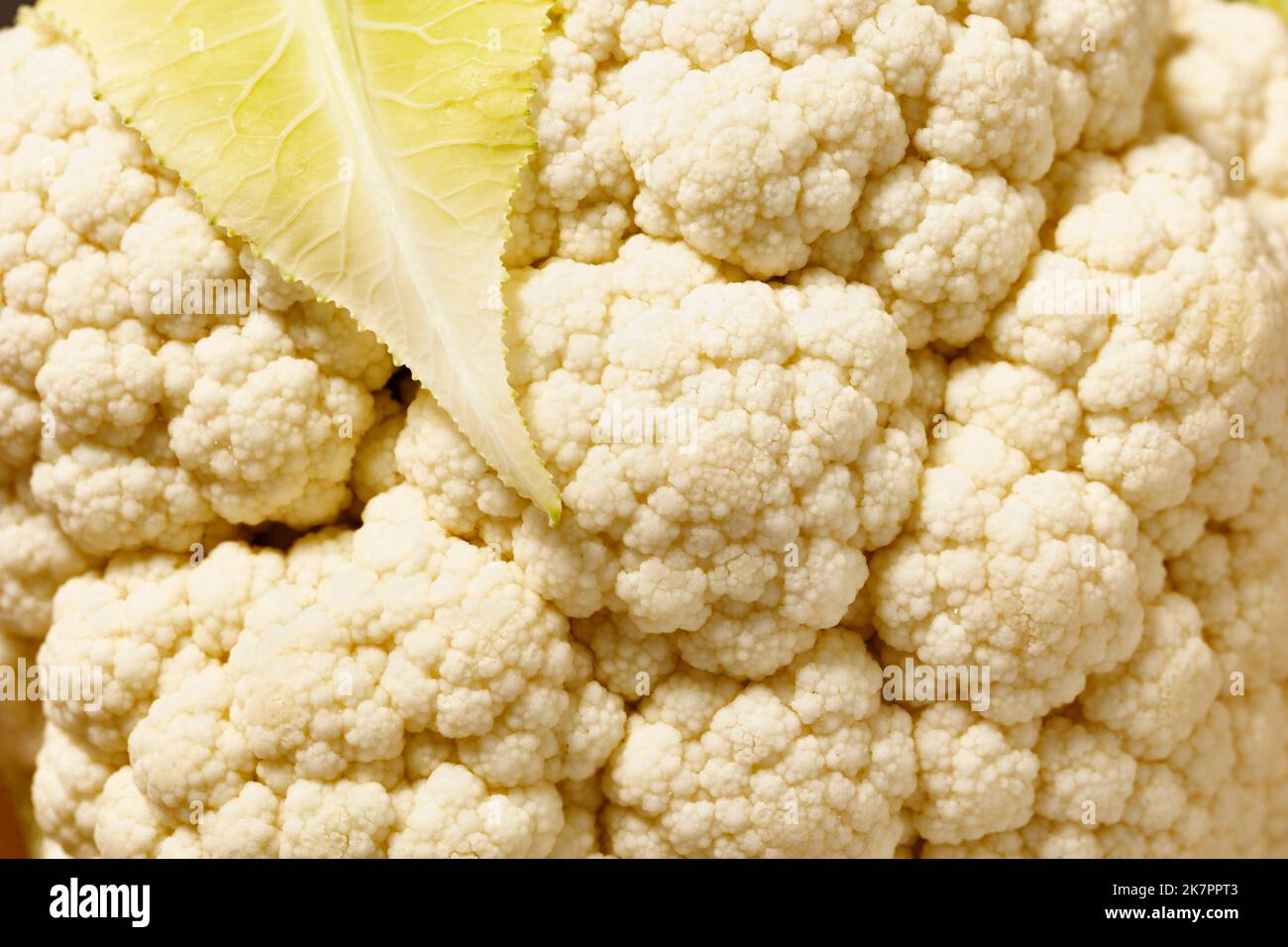 Detail of fresh white cauliflower Stock Photo - Alamy