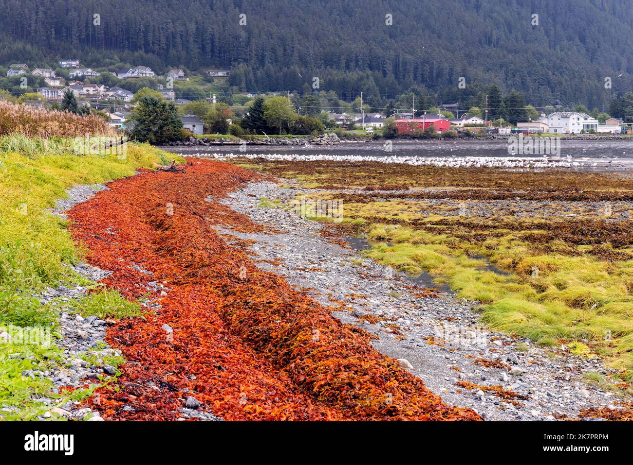 Coastline at Sitka National Historical Park - Sitka, Alaska, USA Stock ...