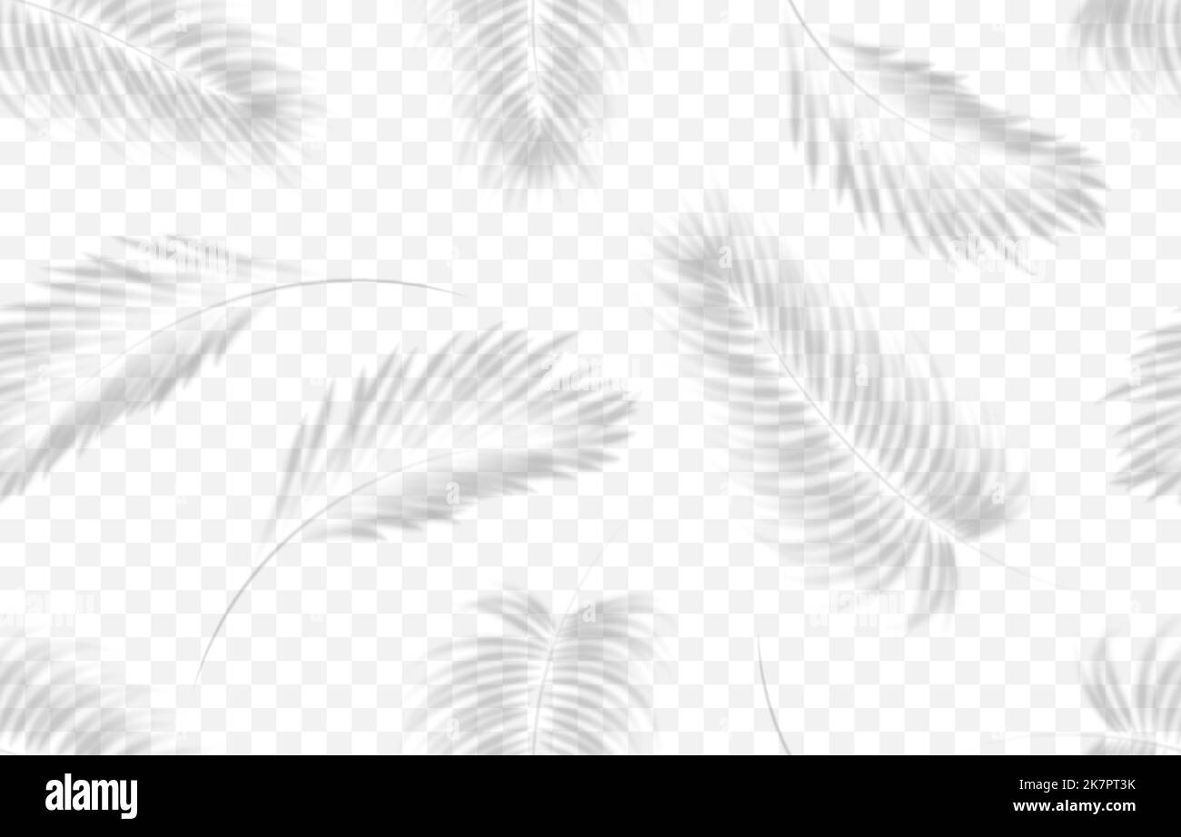 Seamless pattern of realistic transparent shadows tropical leaves ...