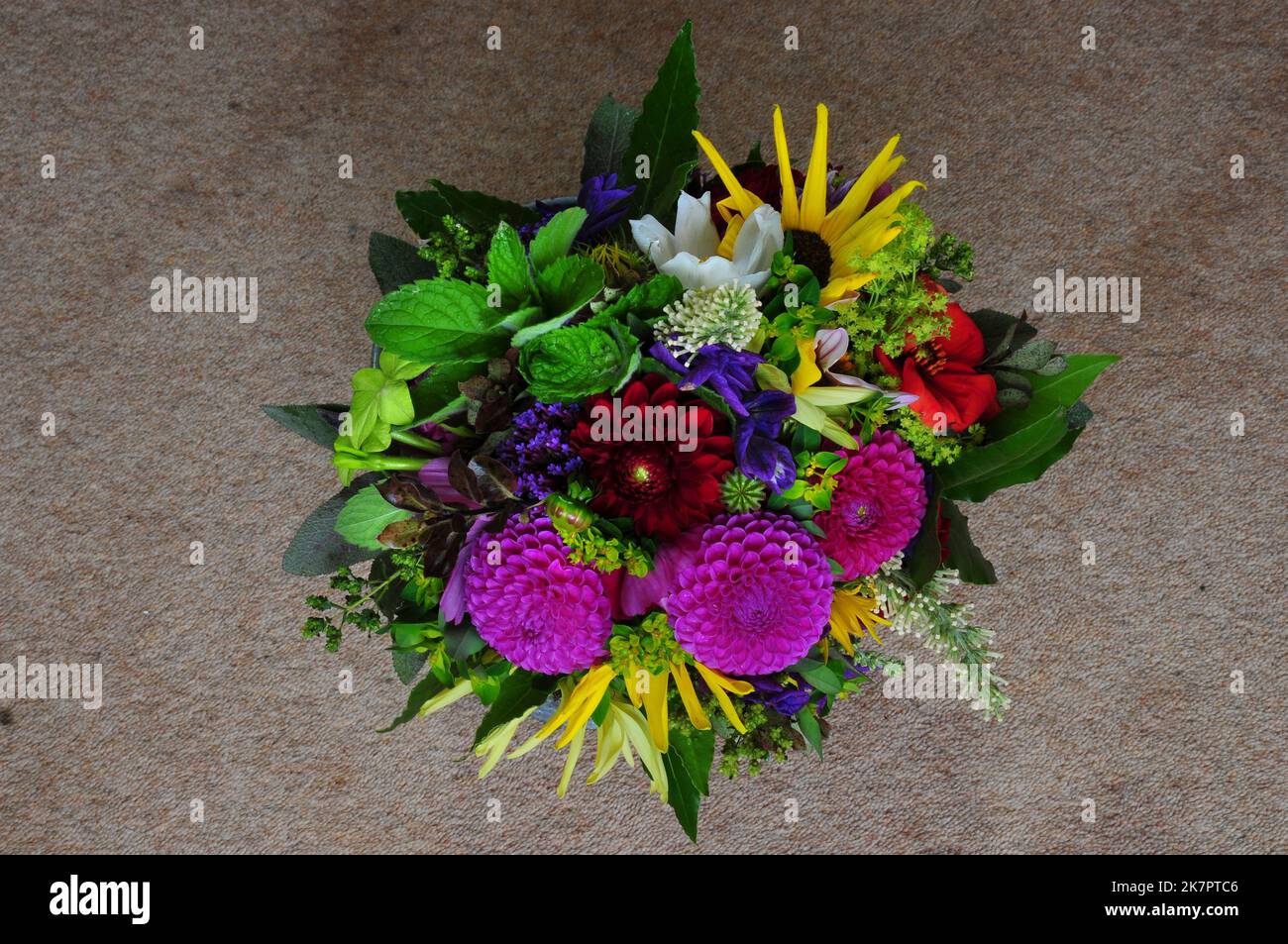 Tuzzy muzzy hi-res stock photography and images - Alamy
