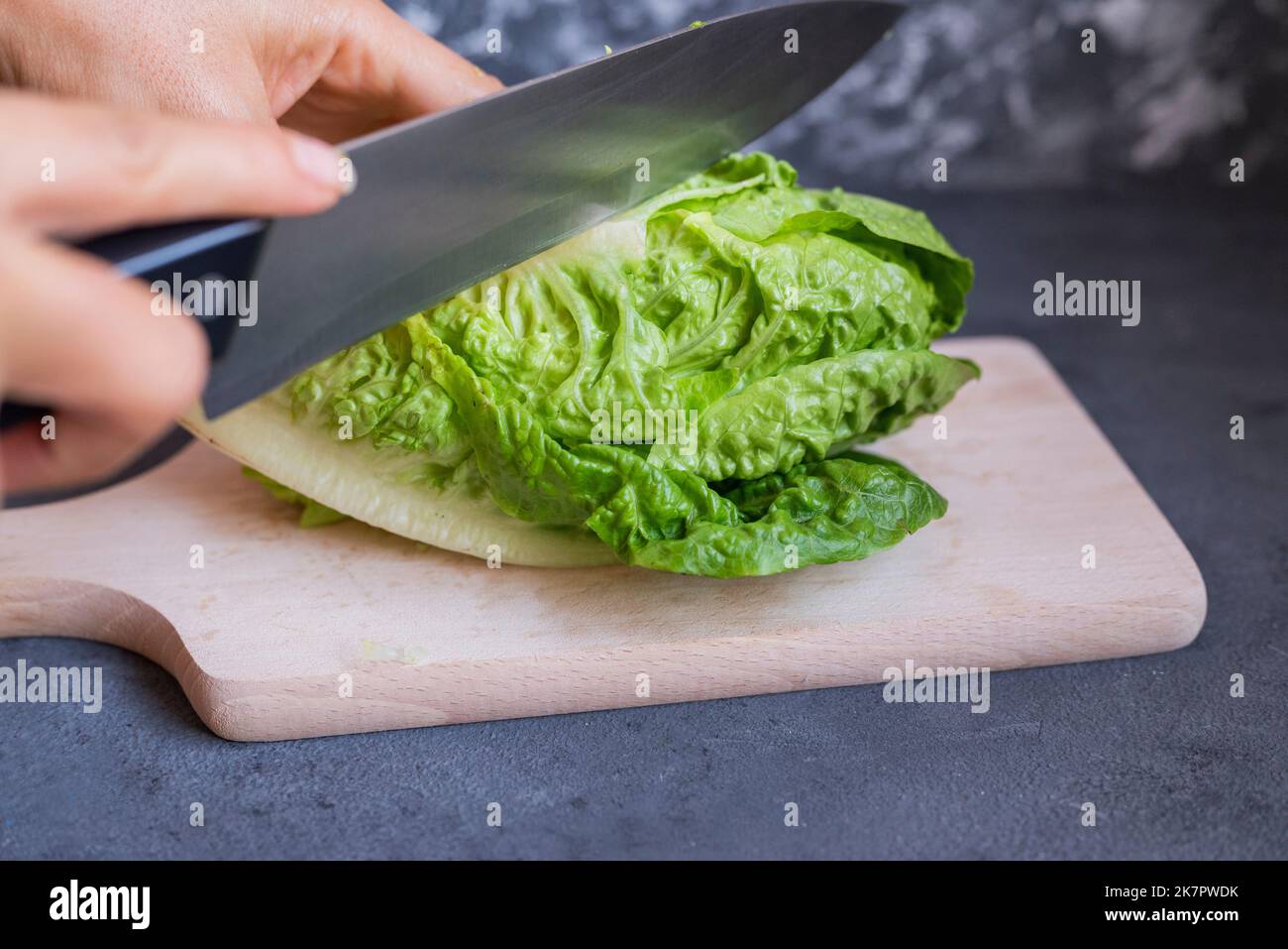 Slicing romaine lettuce green leaves hi-res stock photography and ...