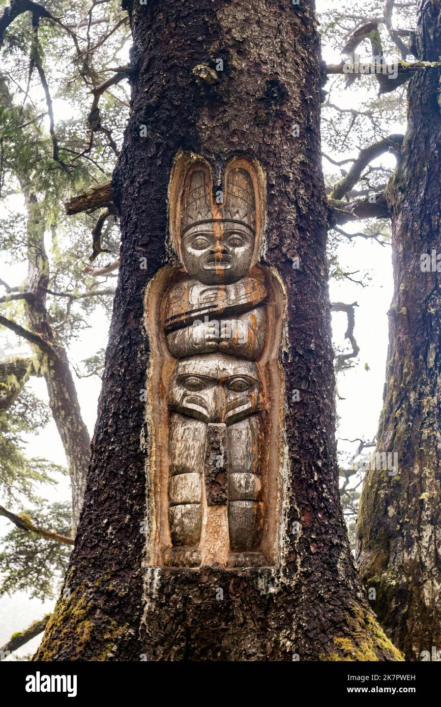 Traditional living tree totem carving on Mount Roberts Trail - Juneau ...