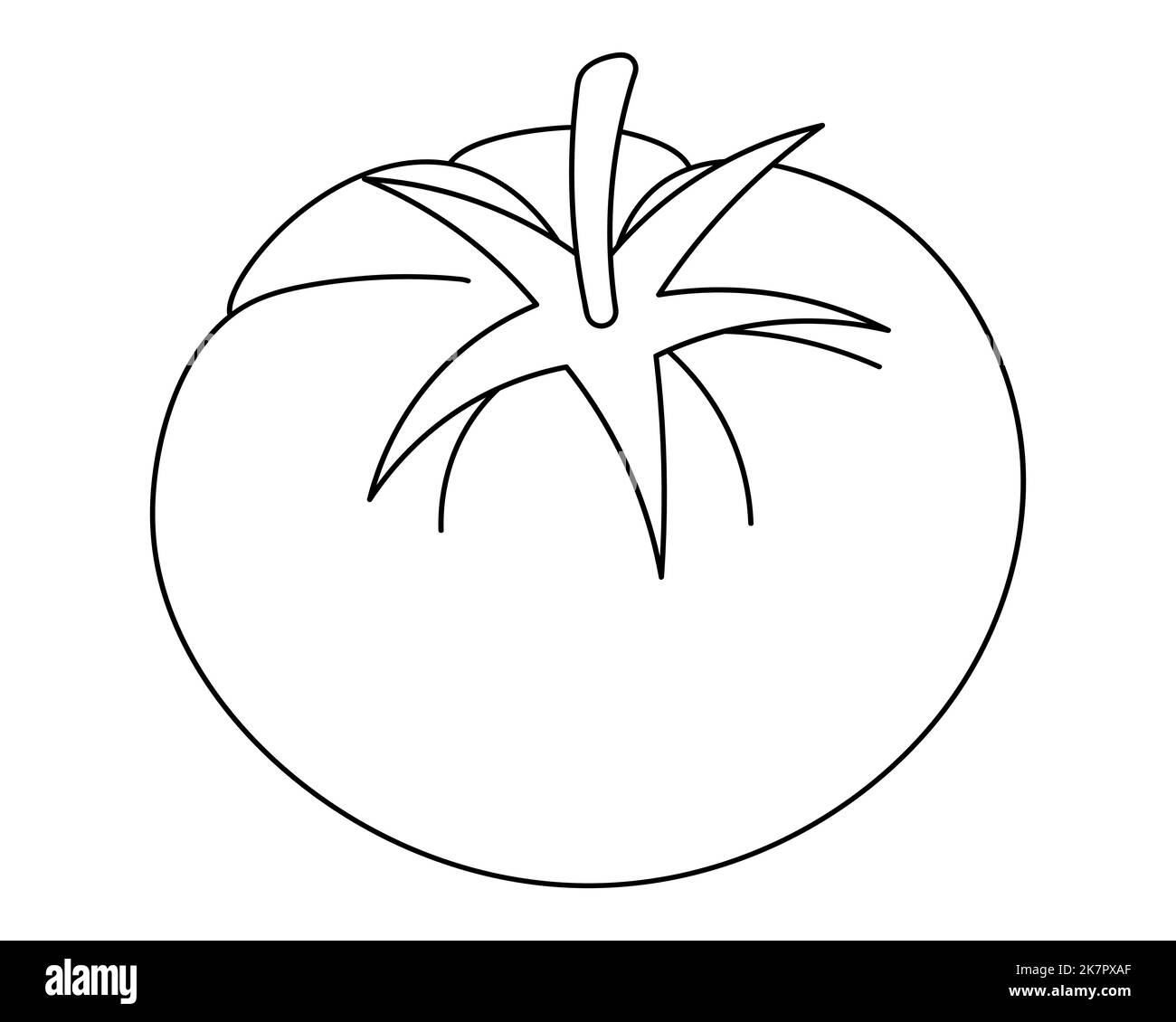 A Tomato Vector Illustration Outline On An Isolated White Background