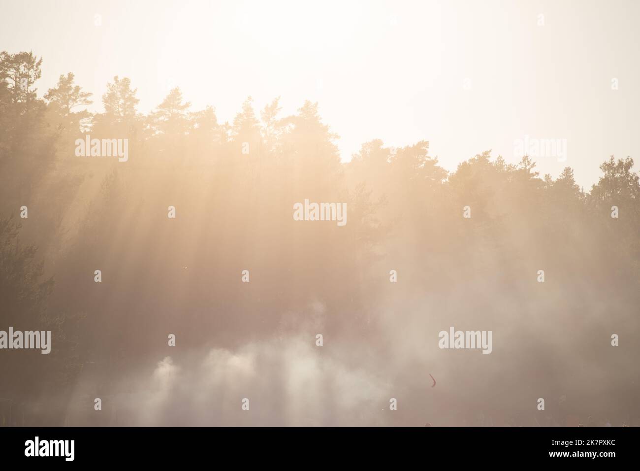 beautiful landscape, sun rays shine through trees Stock Photo - Alamy
