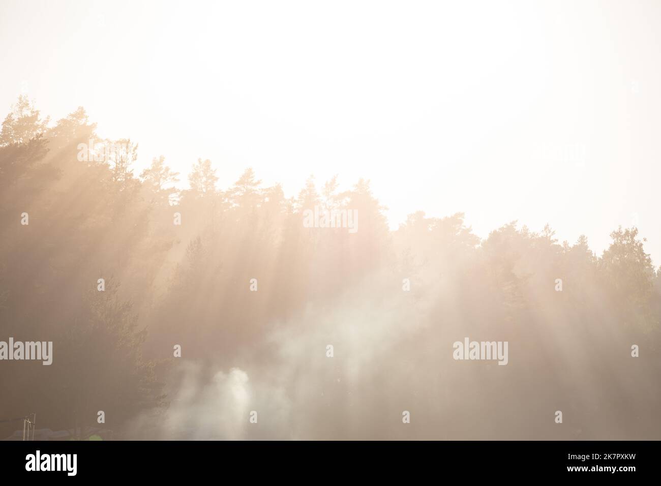 beautiful landscape, sun rays shine through trees Stock Photo - Alamy