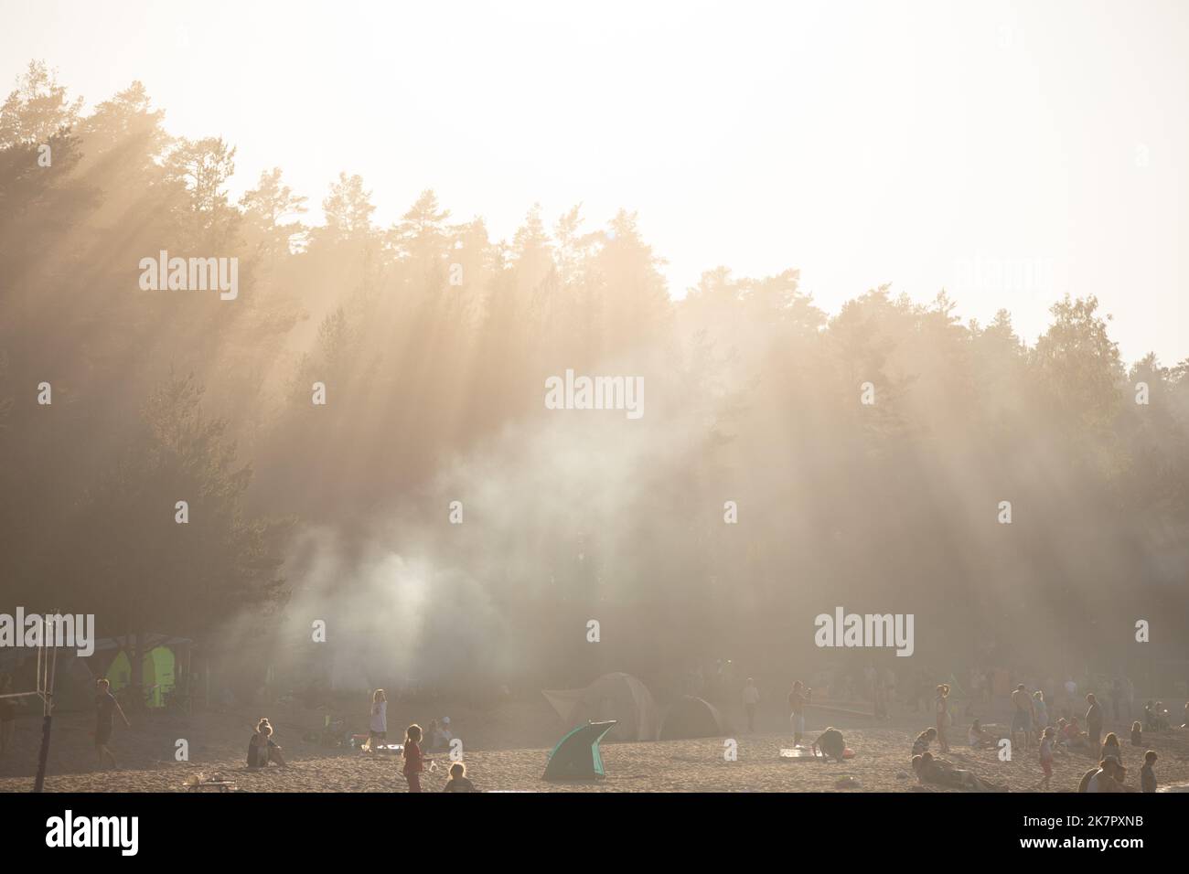 beautiful landscape, sun rays shine through trees Stock Photo - Alamy